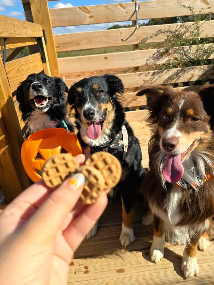 Woofles - Big Sky Barkery