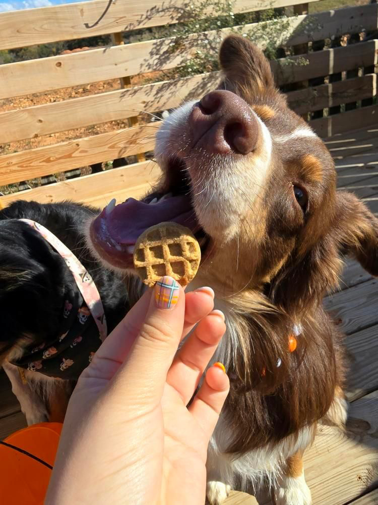 Woofles - Big Sky Barkery